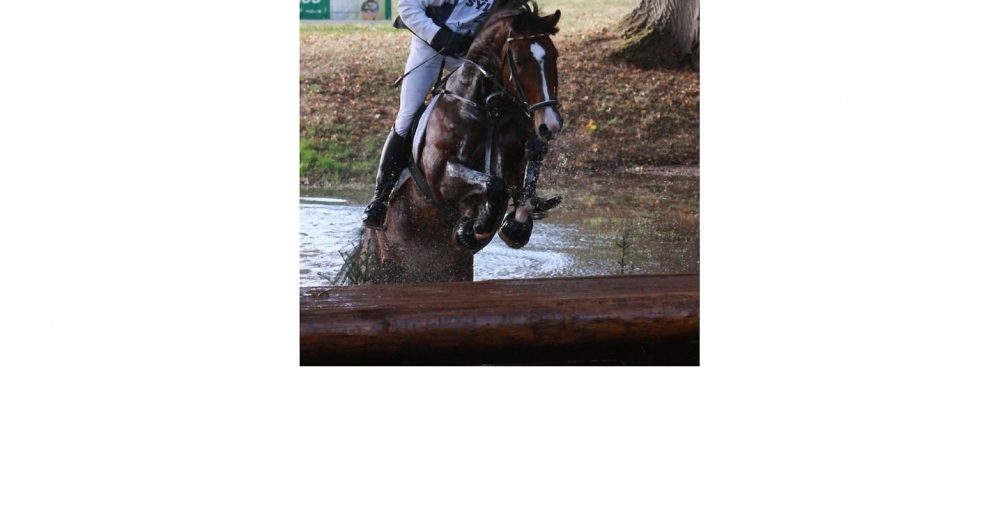 MIGHTY MAGIC DANS LE TOP 100 DES MEILLEURS ETALONS ! - News - Haras du ...